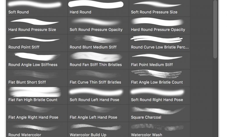 The Digital Eye: Painting with Pixels