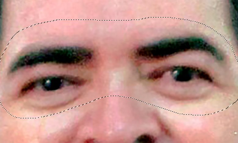 The Digital Eye: Swapping Heads