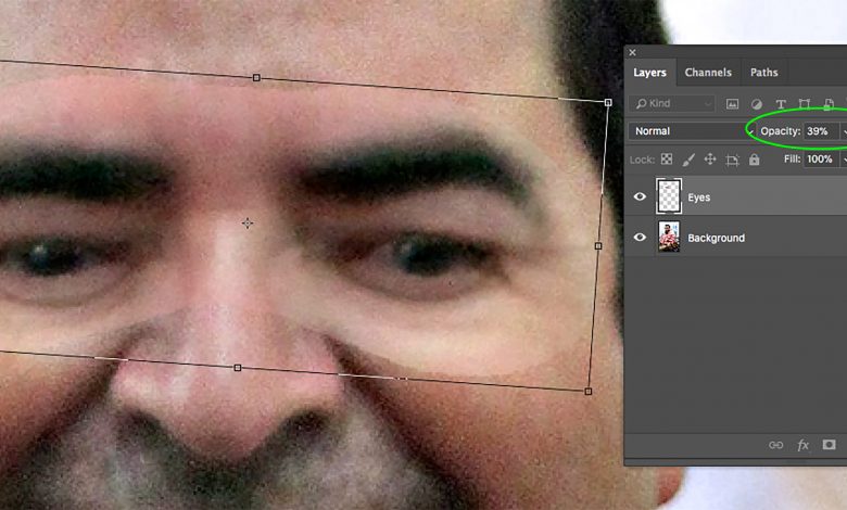 The Digital Eye: Swapping Heads