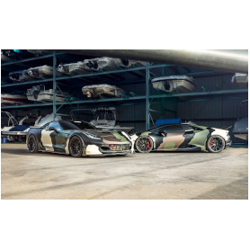 Featured Project: The Opposite Effect of Camouflage | GRAPHICS PRO