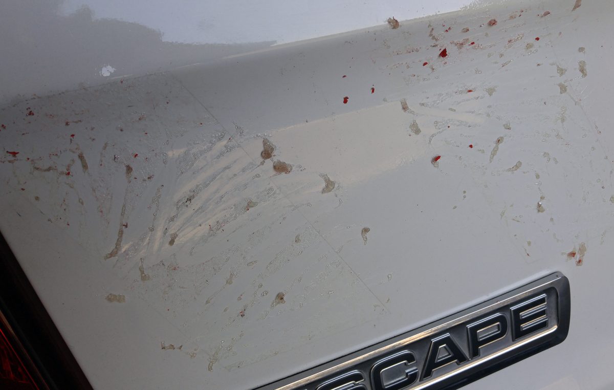 Let's Talk Shop: Wrap Removal | GRAPHICS PRO