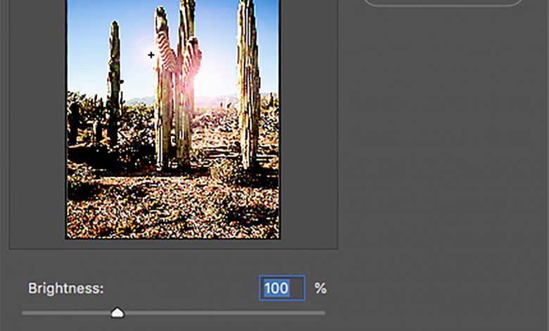 The Digital Eye: Let There Be Light