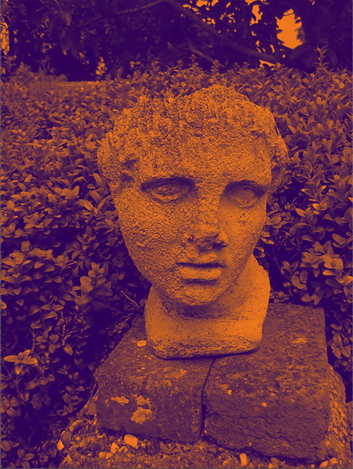 How to Combine Line Art and Posterization to Create Dramatic Images ...