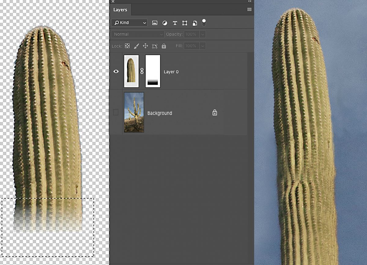 Working with Transparency in Graphics Software | GRAPHICS PRO
