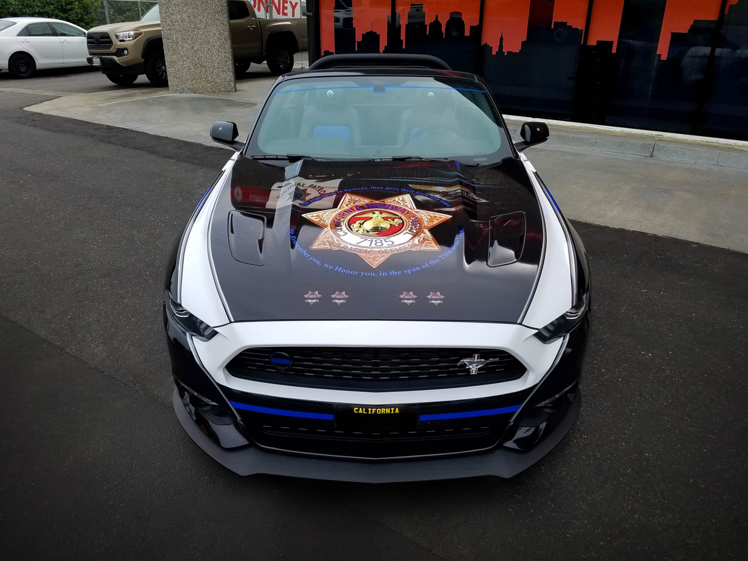 Featured Project: A Wrap Meant to Memorialize