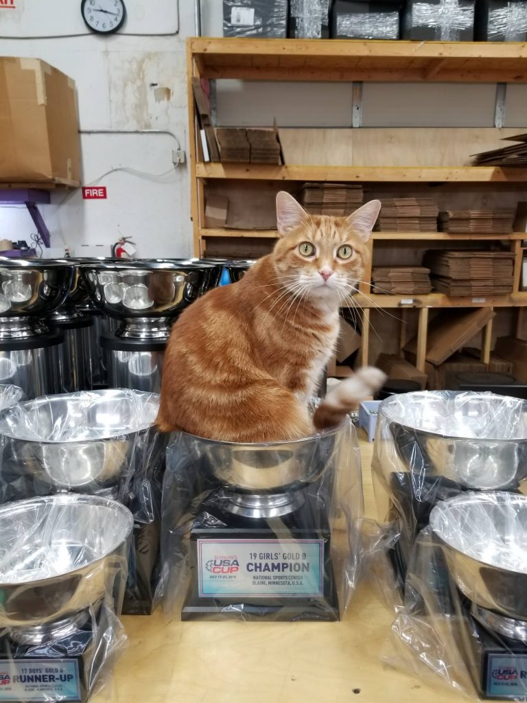 Viking Trophies Celebrates 50 Years of Business