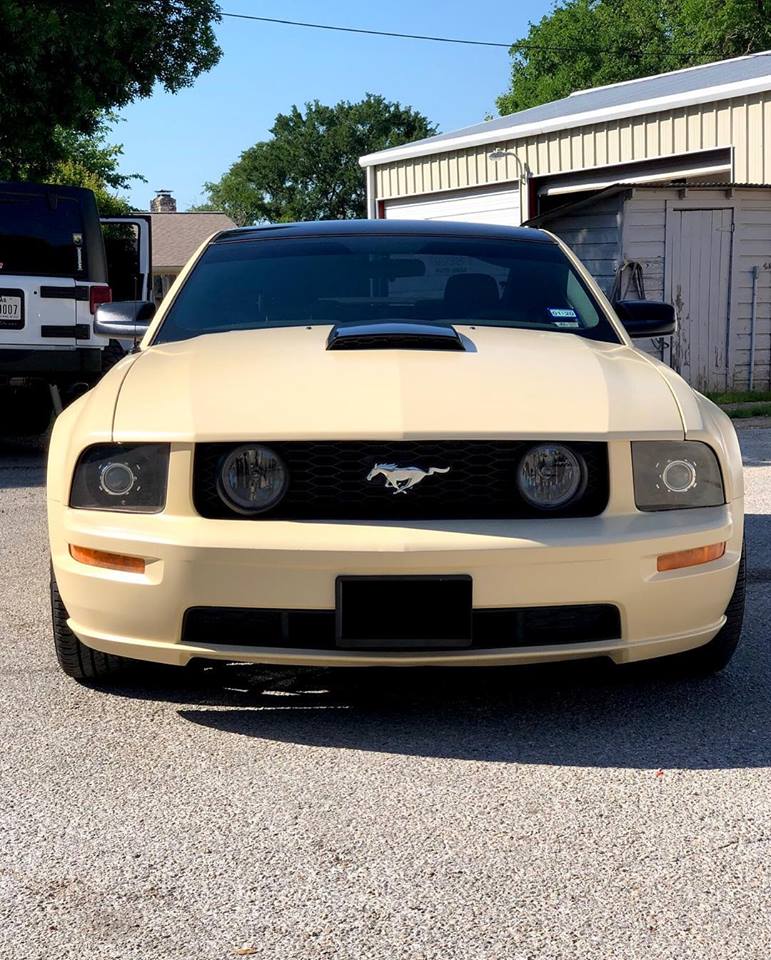 Featured Project: Desert Storm in Texas