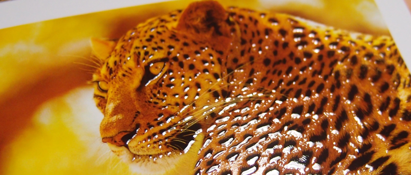 Expand Your Business With UV-LED Printing