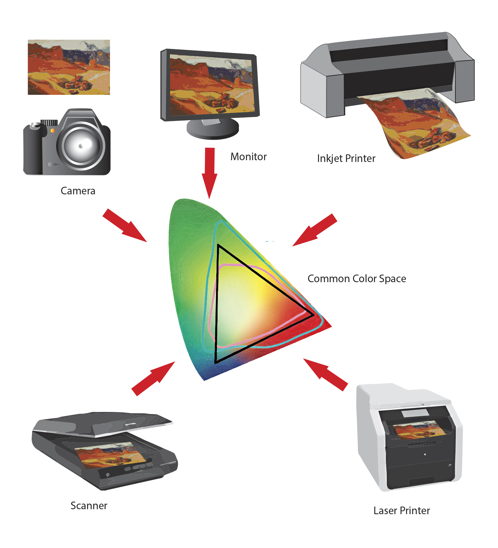 The Digital Eye: What's New in Color Management?