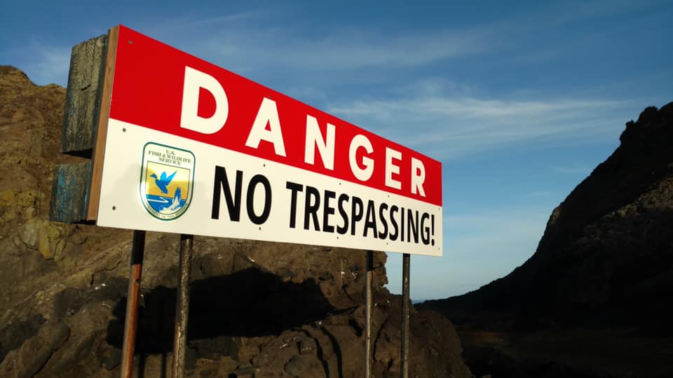 Featured Project: A Rocky Installation