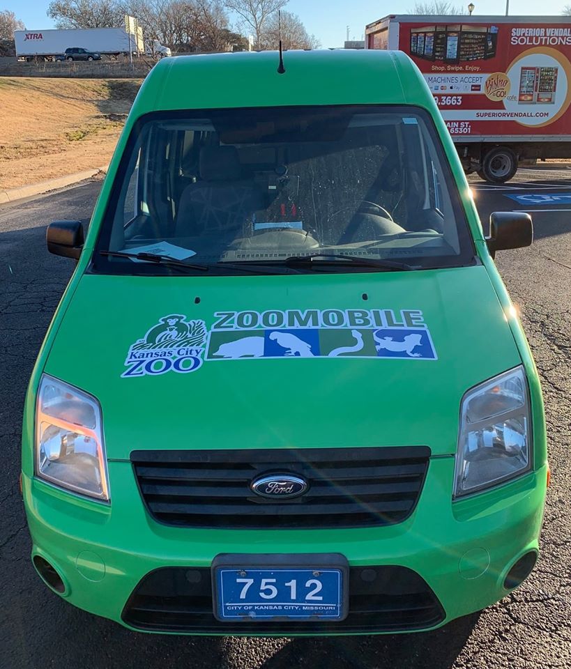 Featured Project: Wrapping the Animal Kingdom