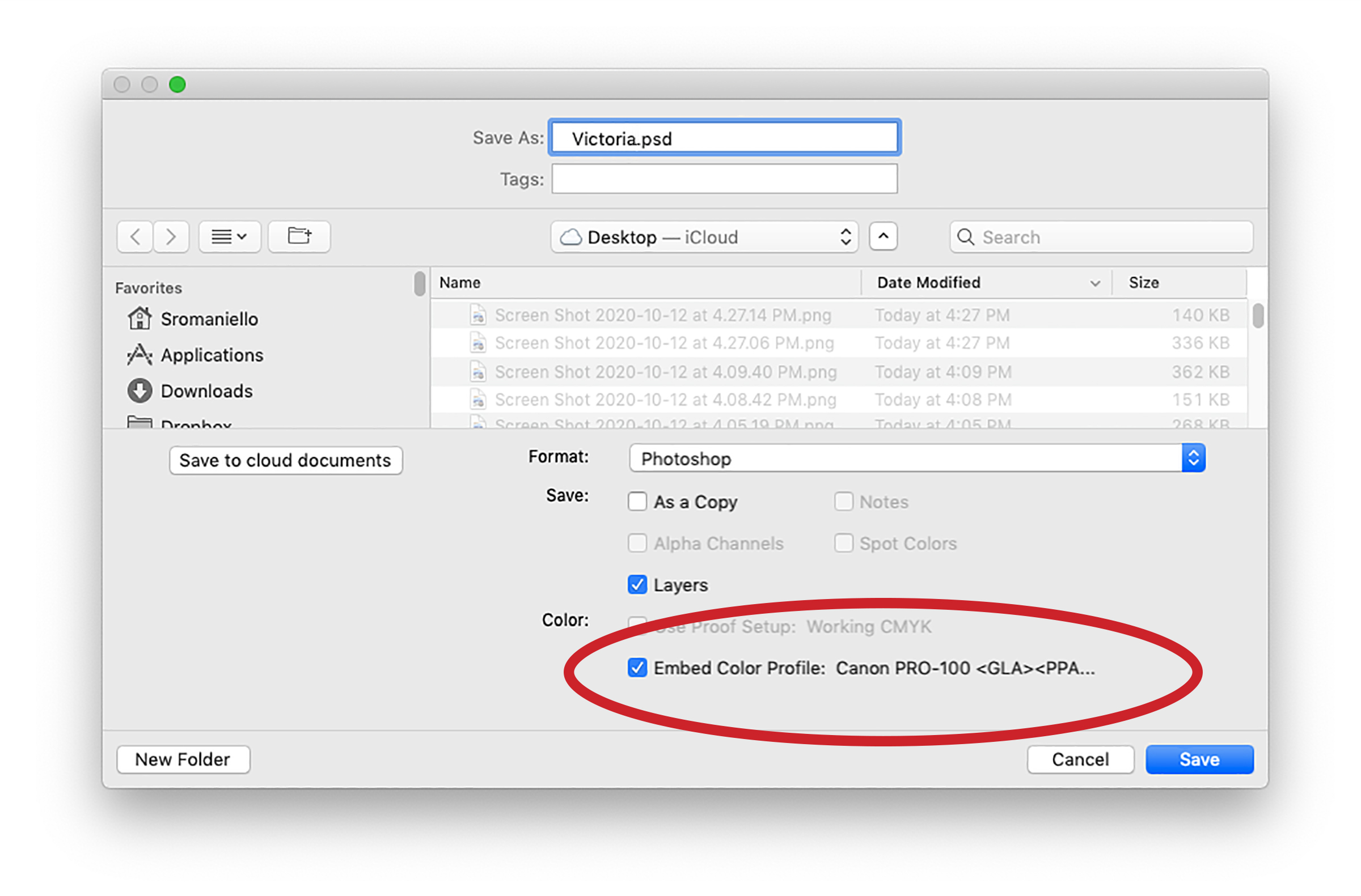 Choosing The Correct File Format When Saving An Image GRAPHICS PRO
