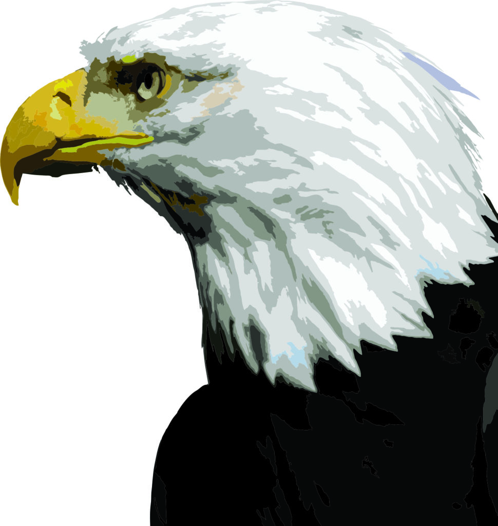 Best Ways to Use Posterize in PHOTO-PAINT to Enhance Artwork | GRAPHICS PRO