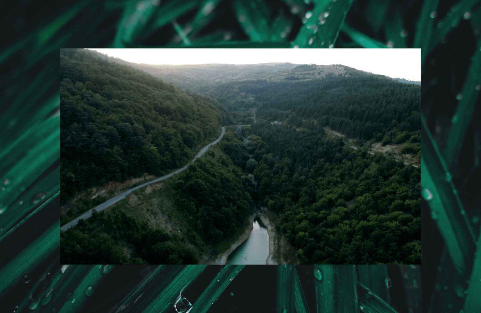 Gildan Announces New ESG Strategy and Future Targets | GRAPHICS PRO