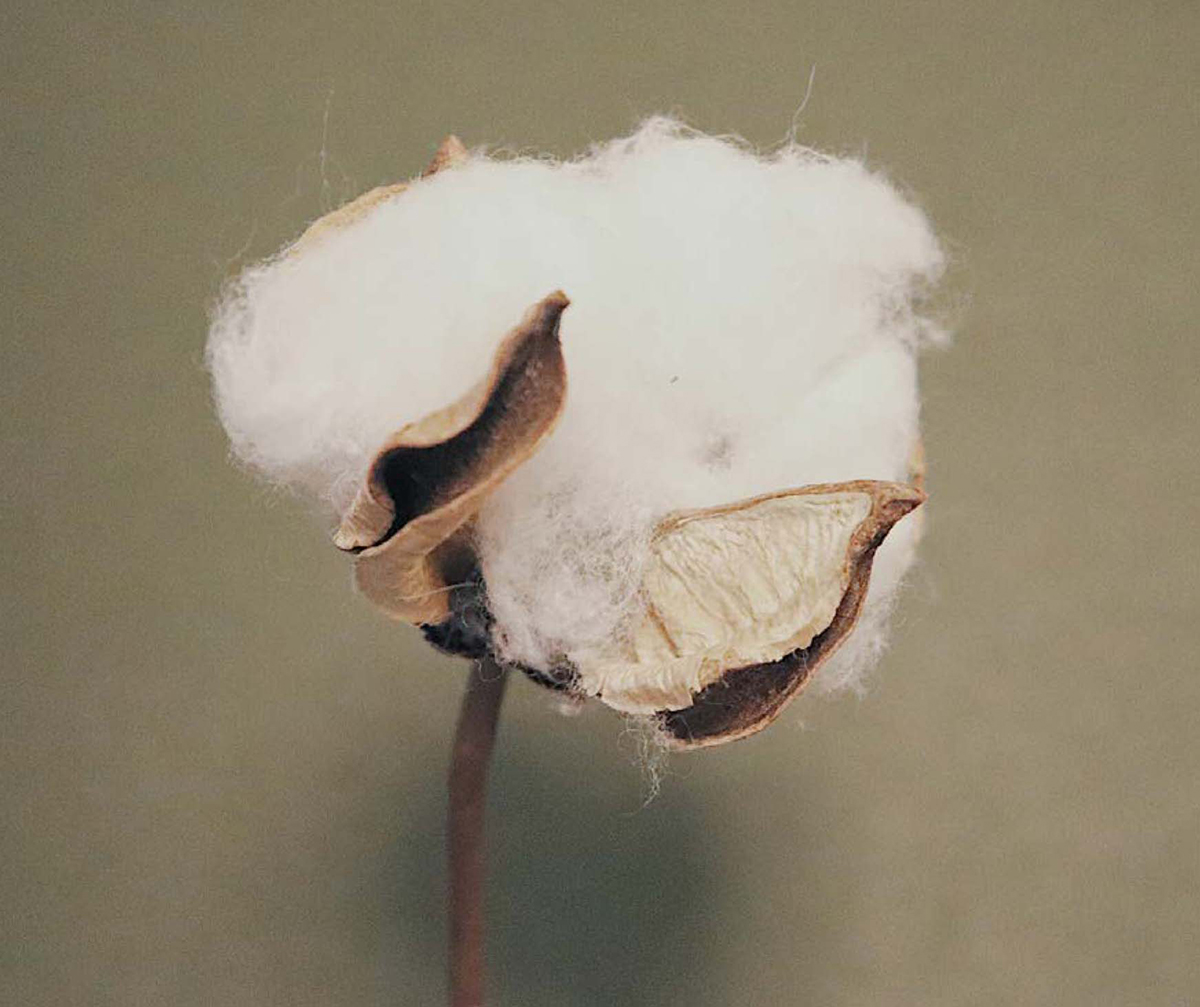 Make Every Day Earth Day with Sustainable Fabric Materials | GRAPHICS PRO